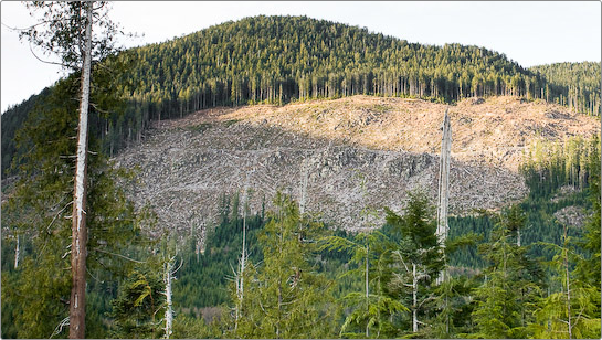 Geografinės zonos (Biomai)