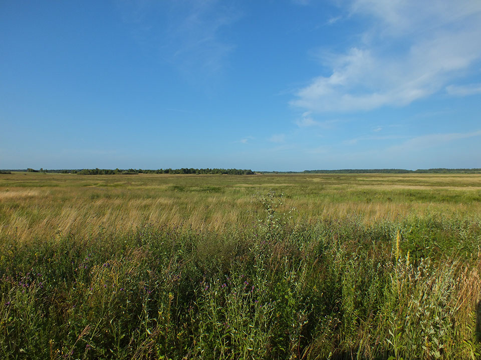 Didysis apledėjimas ir Lietuvos paviršius